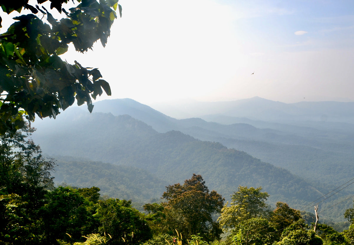 70 % Juodasis šokoladas INDIA IDUKKI – Beaningful