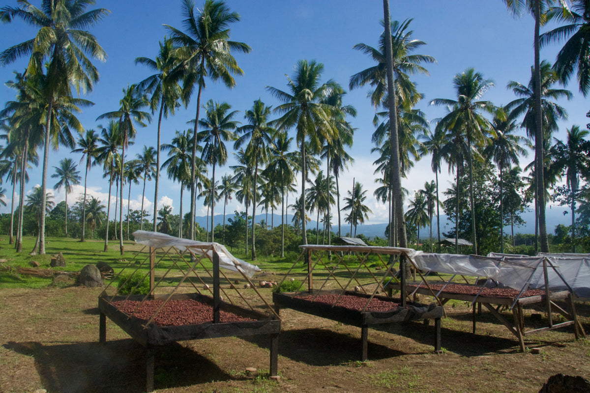 70 % Juodasis šokoladas PHILIPPINES PAQUIBATO – Beaningful